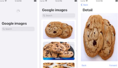 The images are fetched by batch of 100 images per searche
