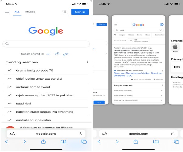 Safari Animation With Swift