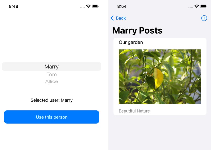 Simple user post app with SwiftUI