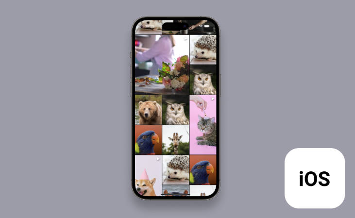 An iOS app featuring a grid of images and autoplaying live streams